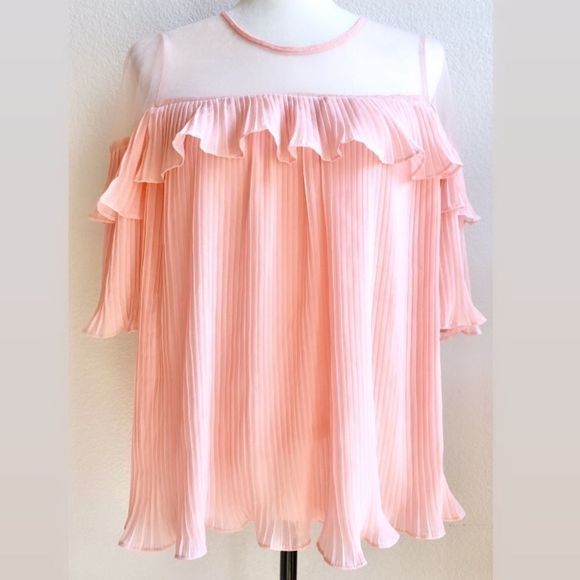 Tops | New Pinkmesh Pleated Top W Ruffle Shoulder Cottagecore | Poshmark